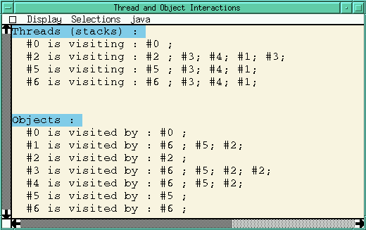 Java semantics and environment